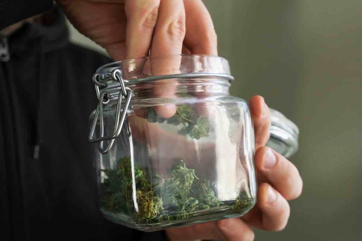 已经Vaped Bud:在2022年如何处理AVB - beplay.center,beplay官方客服